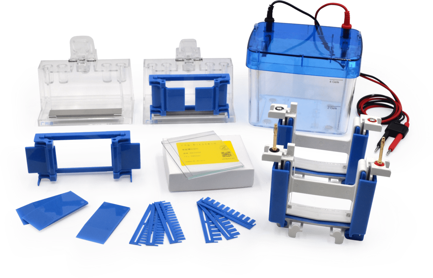 Vertical Electrophoresis Systems – Nebula-b
